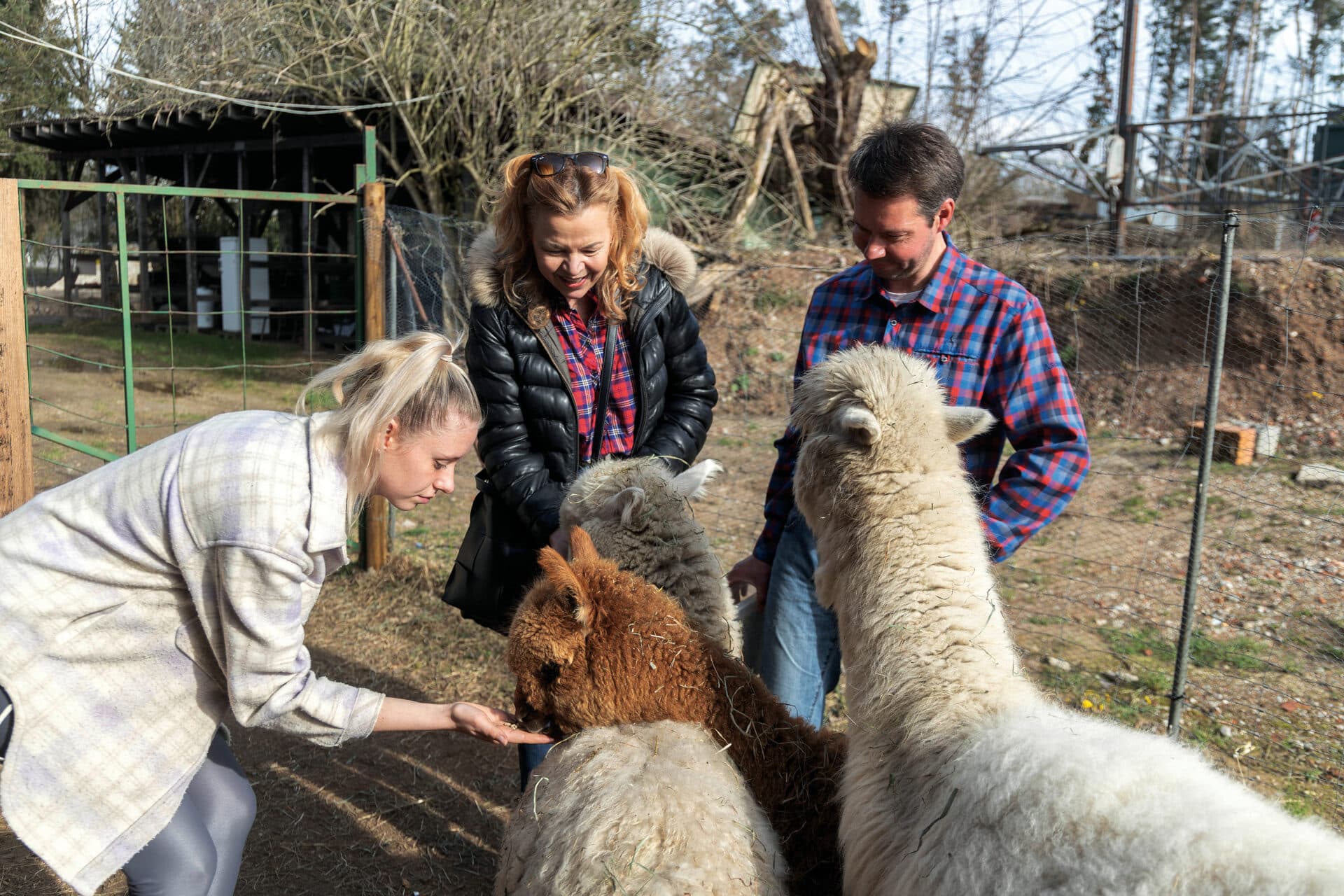 Revival der Western-City in Dasing nach zehn harten Jahren - Augsburg ...